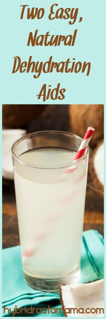 Two Easy, Natural Dehydration Aids by Hybrid Rasta Mama