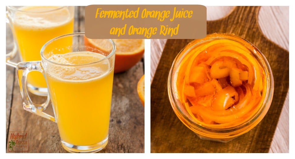 Fermented Orange Rind and Fermented Orange Juice (Two Ways) by Hybrid ...