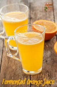 Fermented Orange Rind and Fermented Orange Juice (Two Ways) by Hybrid ...